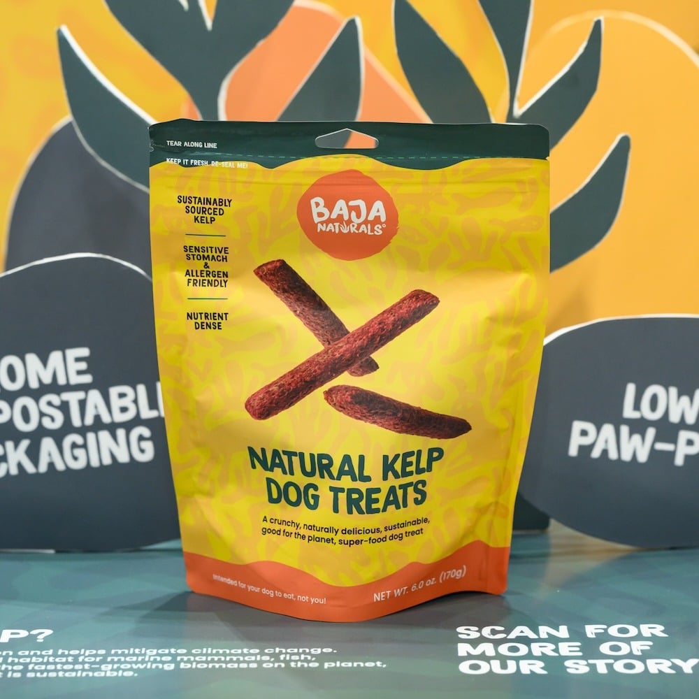 Best in Show Award Winners | New Products Showcase 2025